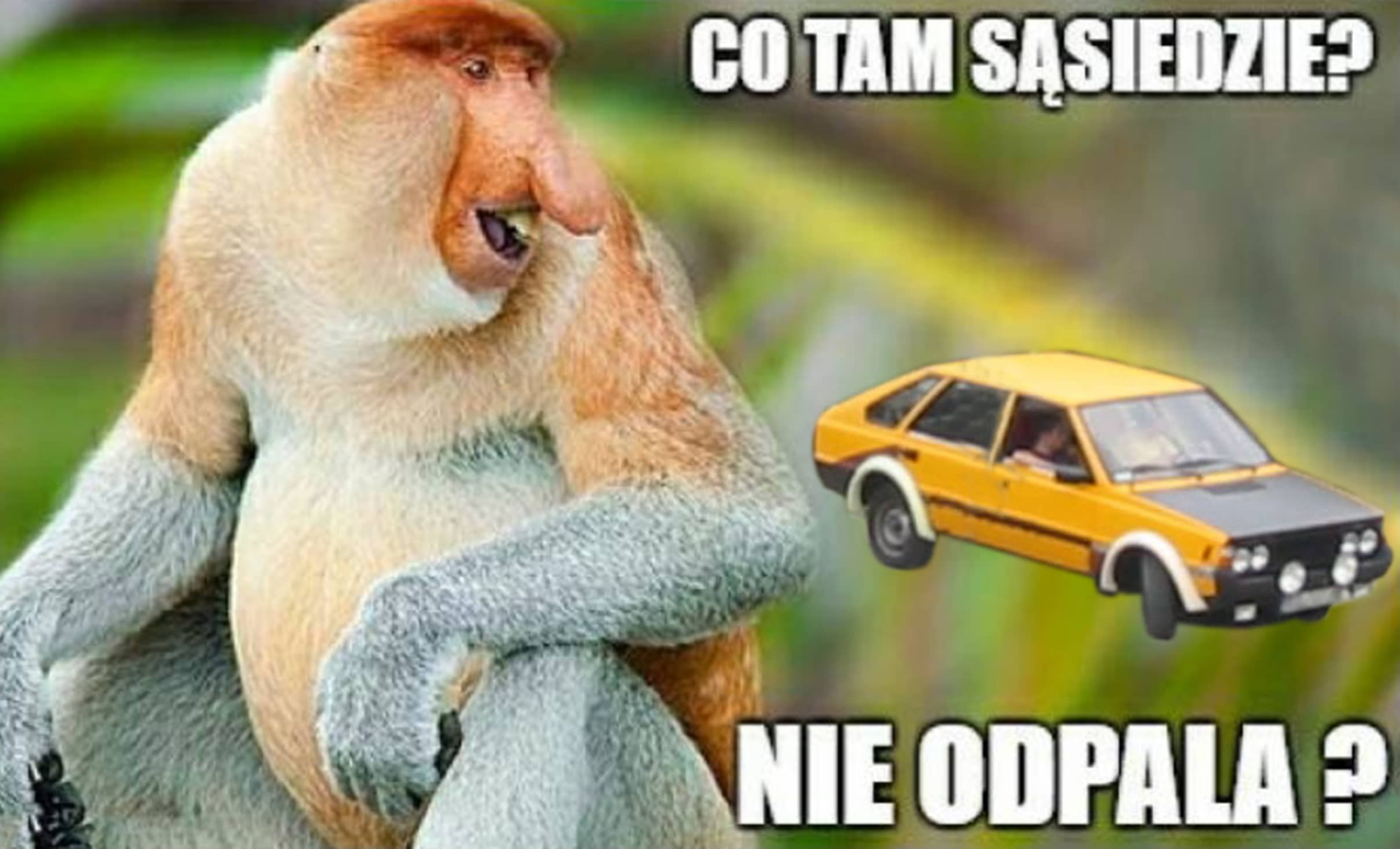 Polski Tuning Garażowy - Wiejski Tuning